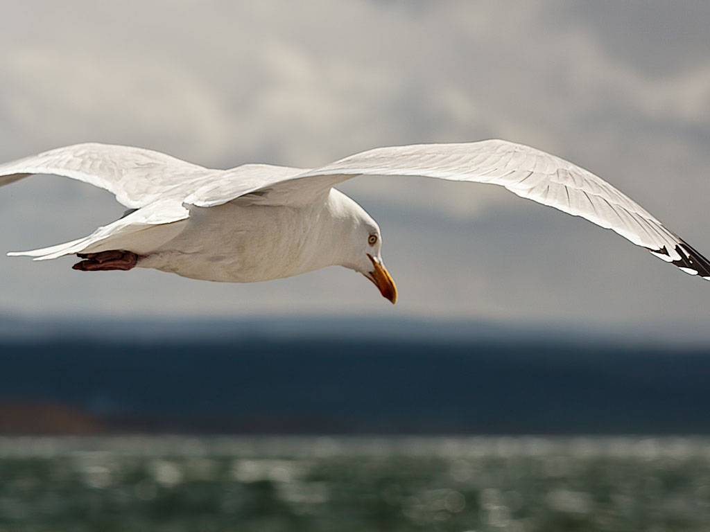 Rockport State Park, an Utah State Park located near Park City, Salt ...