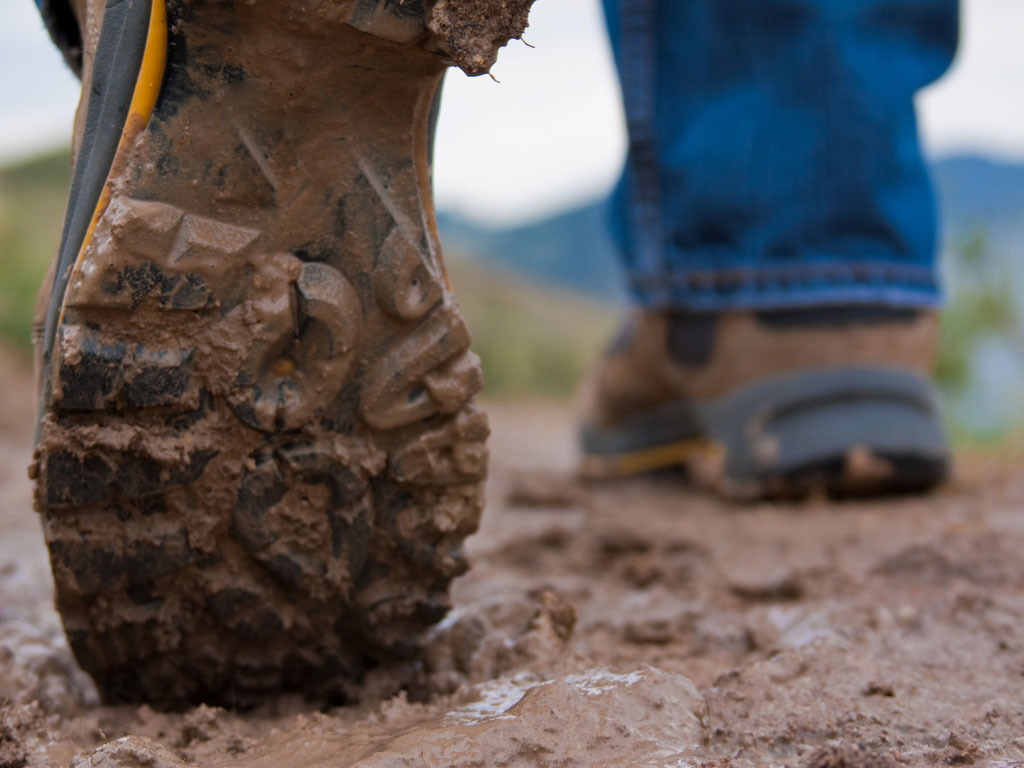 Van Riper State Park, a Michigan State Park located near Ishpeming